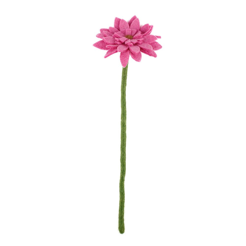 Gerbera Fuchsia – Poppedijn